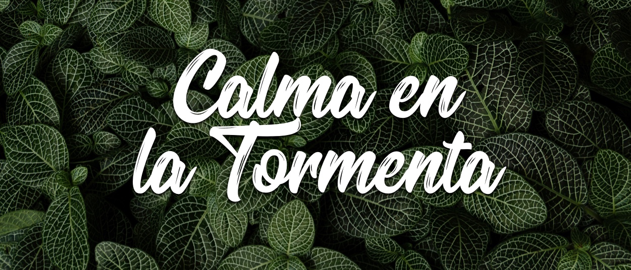 CALMA EN LA TORMENTA – Devocionales Justo a Tiempo