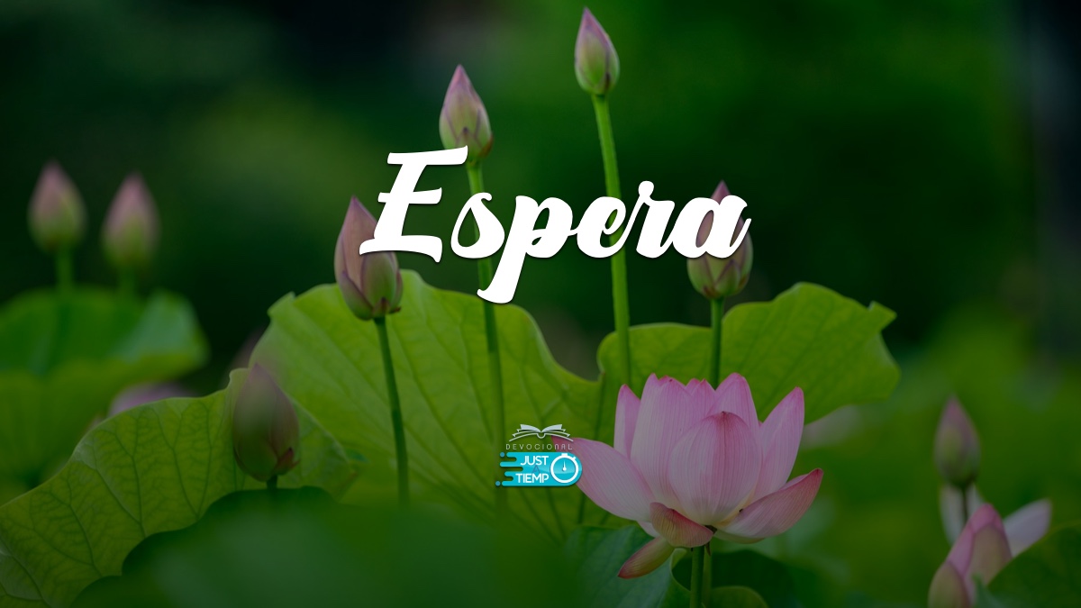 ESPERA – Devocionales Justo a Tiempo