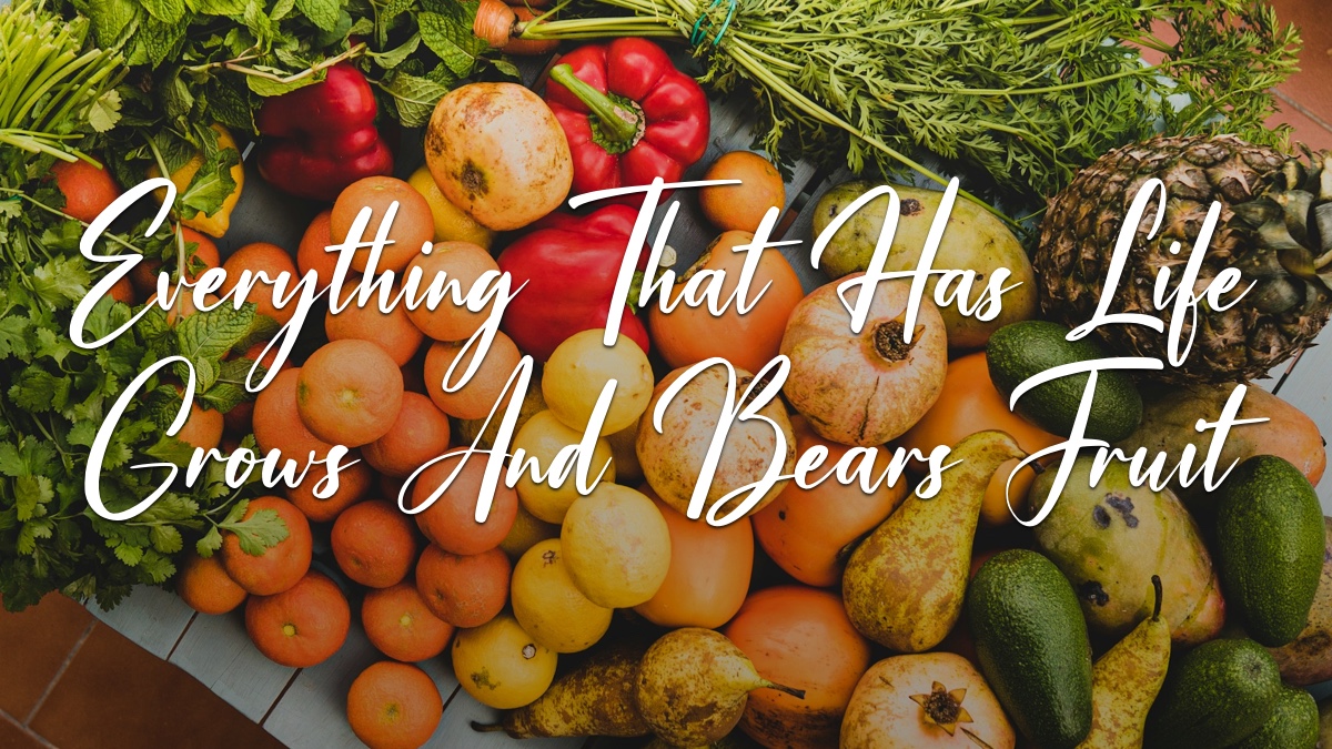 EVERYTHING THAT HAS LIFE GROWS AND BEARS FRUIT – Devocionales Justo a ...