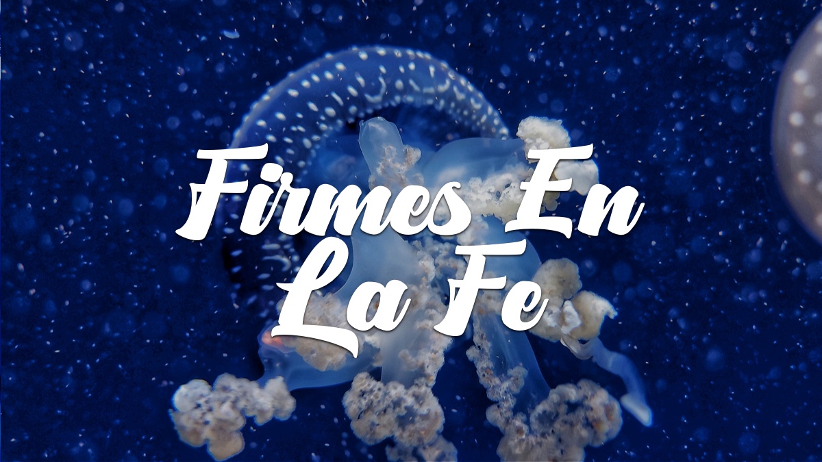 Devocionales Justo a Tiempo - FIRMES EN LA FE