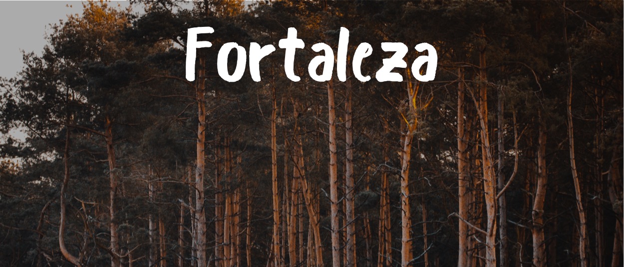 FORTALEZA – Devocionales Justo a Tiempo