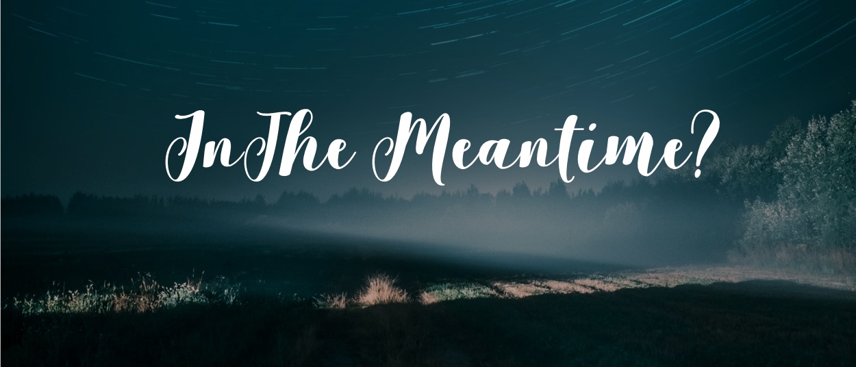 IN THE MEANTIME? – Devocionales Justo a Tiempo