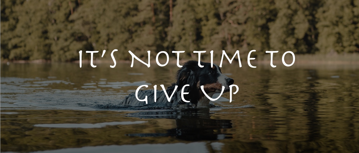 Devocionales Justo a Tiempo - IT'S NOT TIME TO GIVE UP