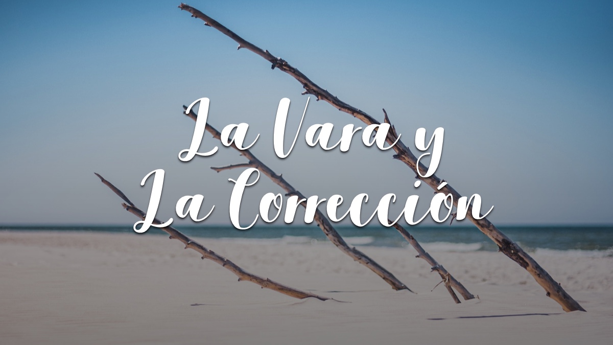 LA VARA Y LA CORRECIÓN – Devocionales Justo a Tiempo