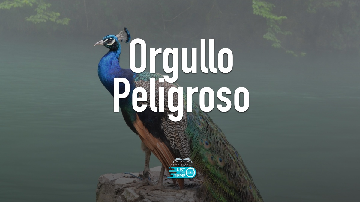 ORGULLO PELIGROSO – Devocionales Justo a Tiempo