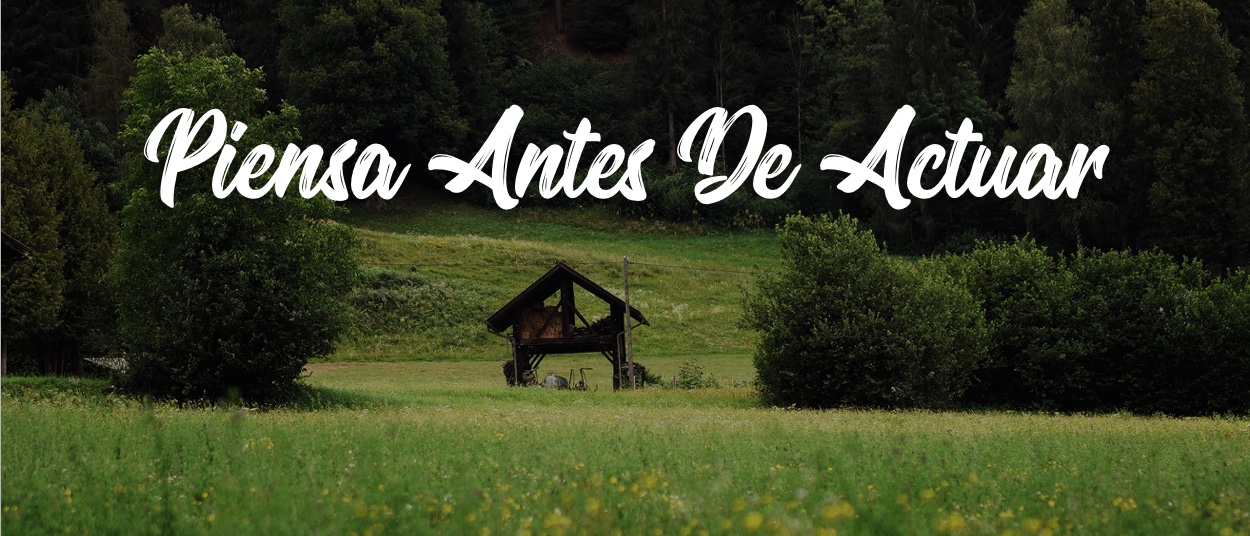 PIENSA ANTES DE ACTUAR – Devocionales Justo a Tiempo