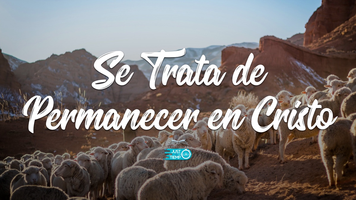 SE TRATA DE PERMANECER EN CRISTO – Devocionales Justo a Tiempo