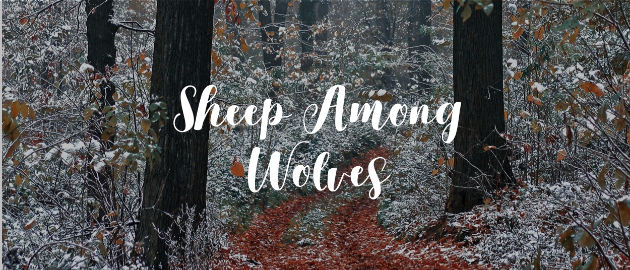 Devocionales Justo a Tiempo - SHEEP AMONG WOLVES