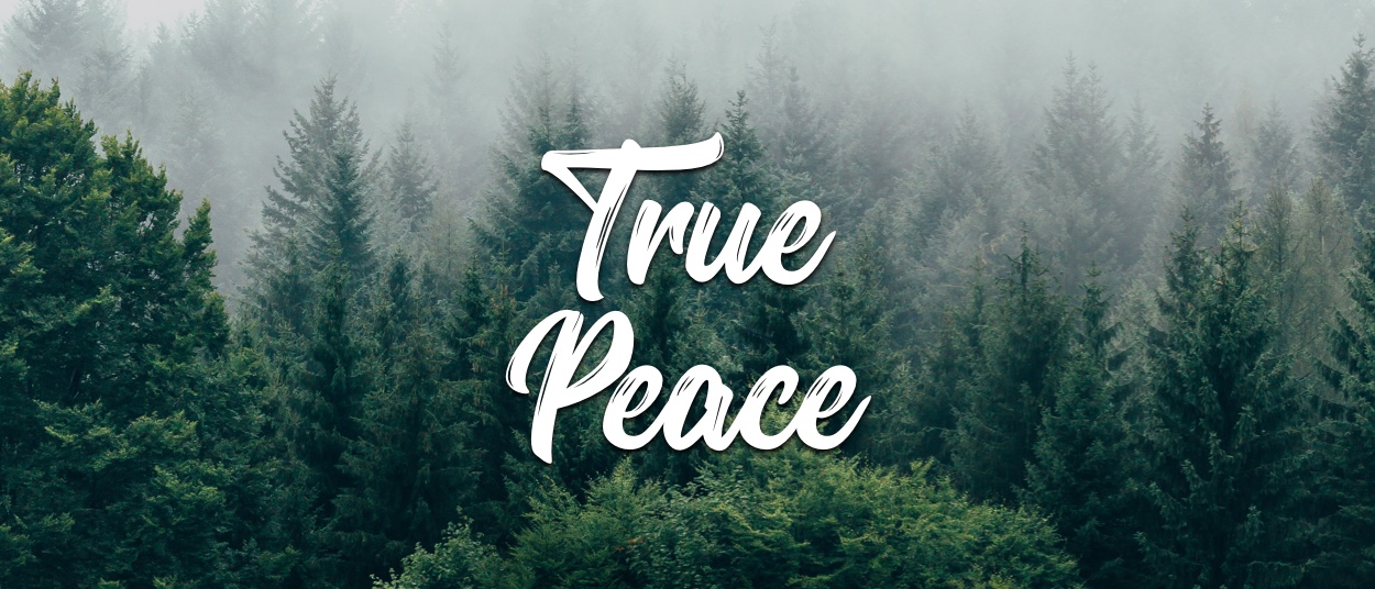 TRUE PEACE – Devocionales Justo a Tiempo