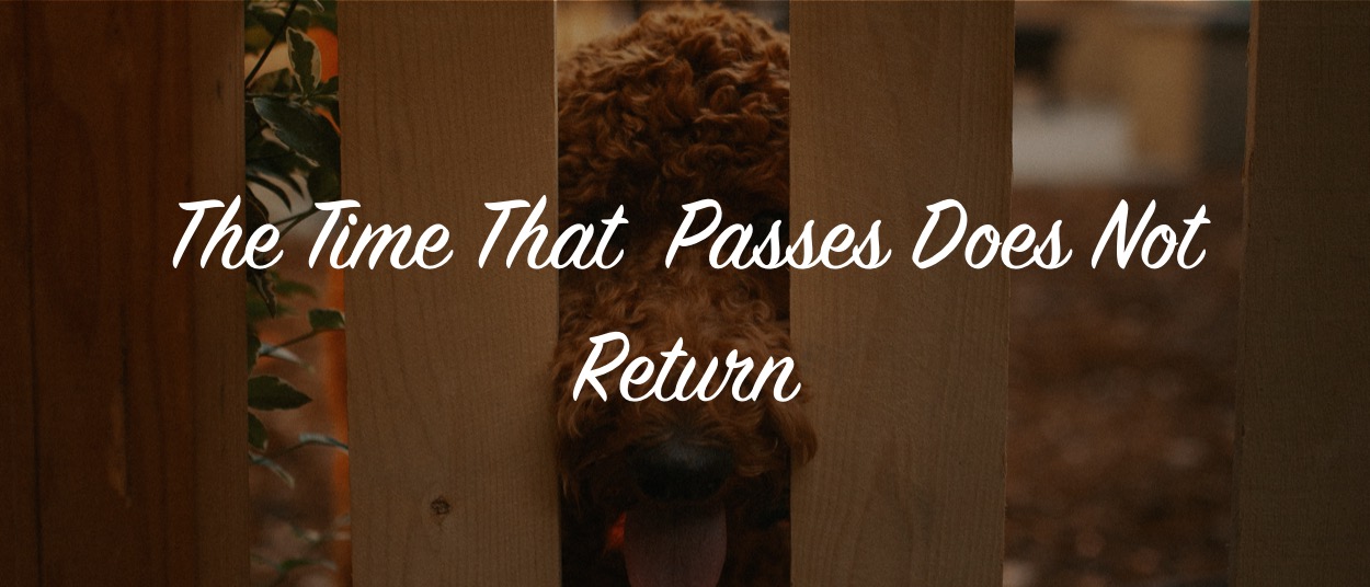 THE TIME THAT PASSES DOES NOT RETURN – Devocionales Justo a Tiempo