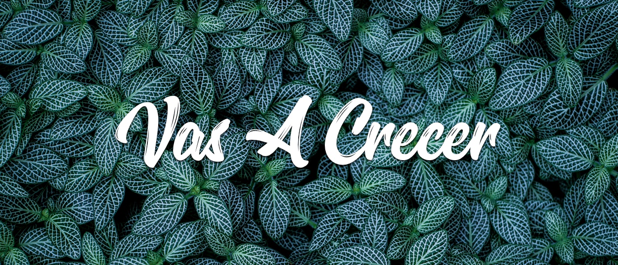 Devocionales Justo a Tiempo - VAS A CRECER