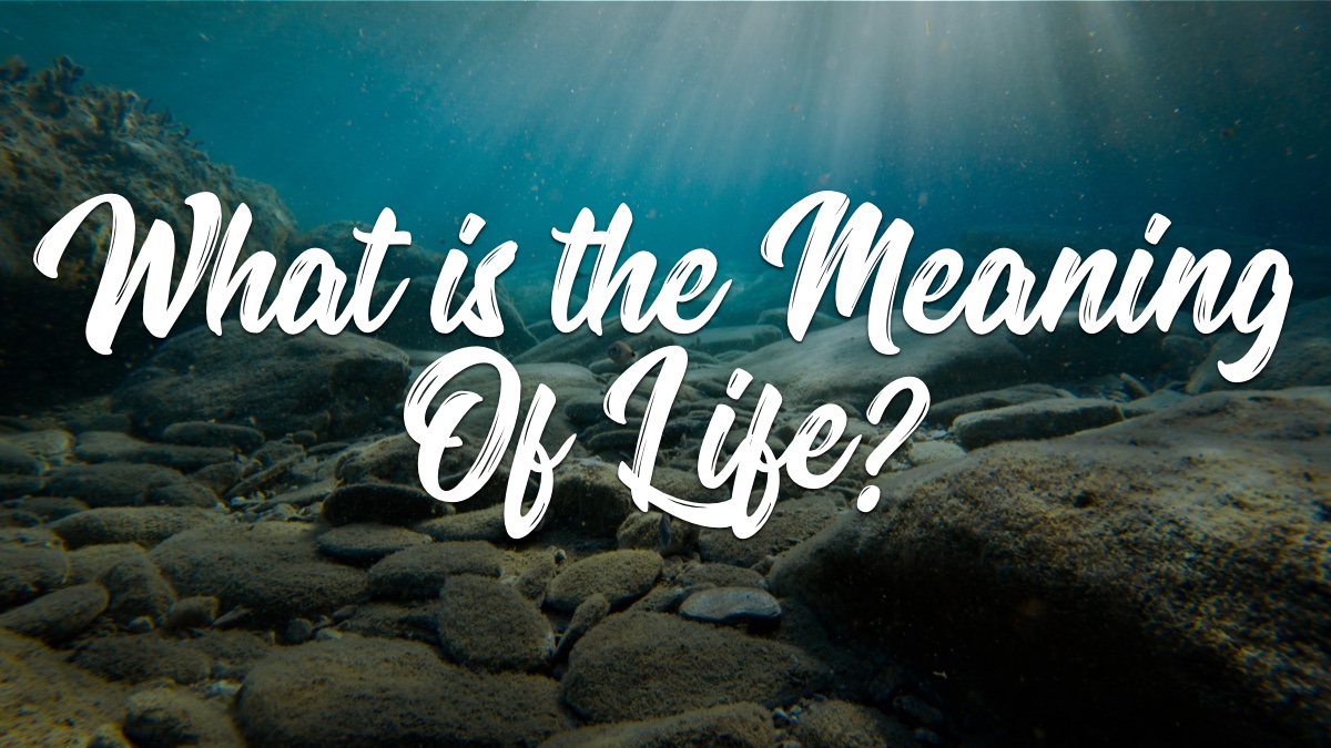 Devocionales Justo a Tiempo - WHAT IS THE MEANING OF LIFE?